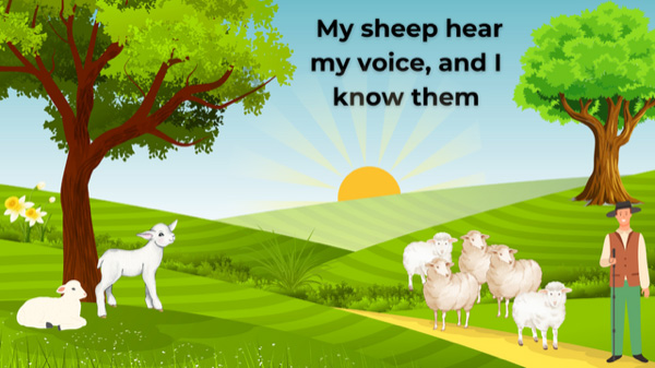 God's Sheep | Inspire4.com